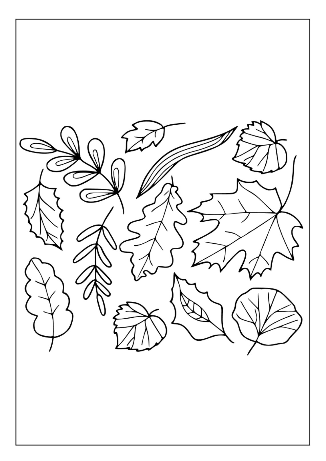 Printable Autumn Fall Coloring Pages for Kids and Adults | 55 Pages ...