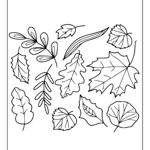 Printable Autumn Fall Coloring Pages for Kids and Adults | 55 Pages ...