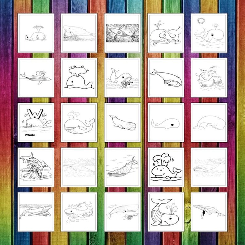 Printable Whale Coloring Pages for Kids and Adults | 90 Pages | Instant ...