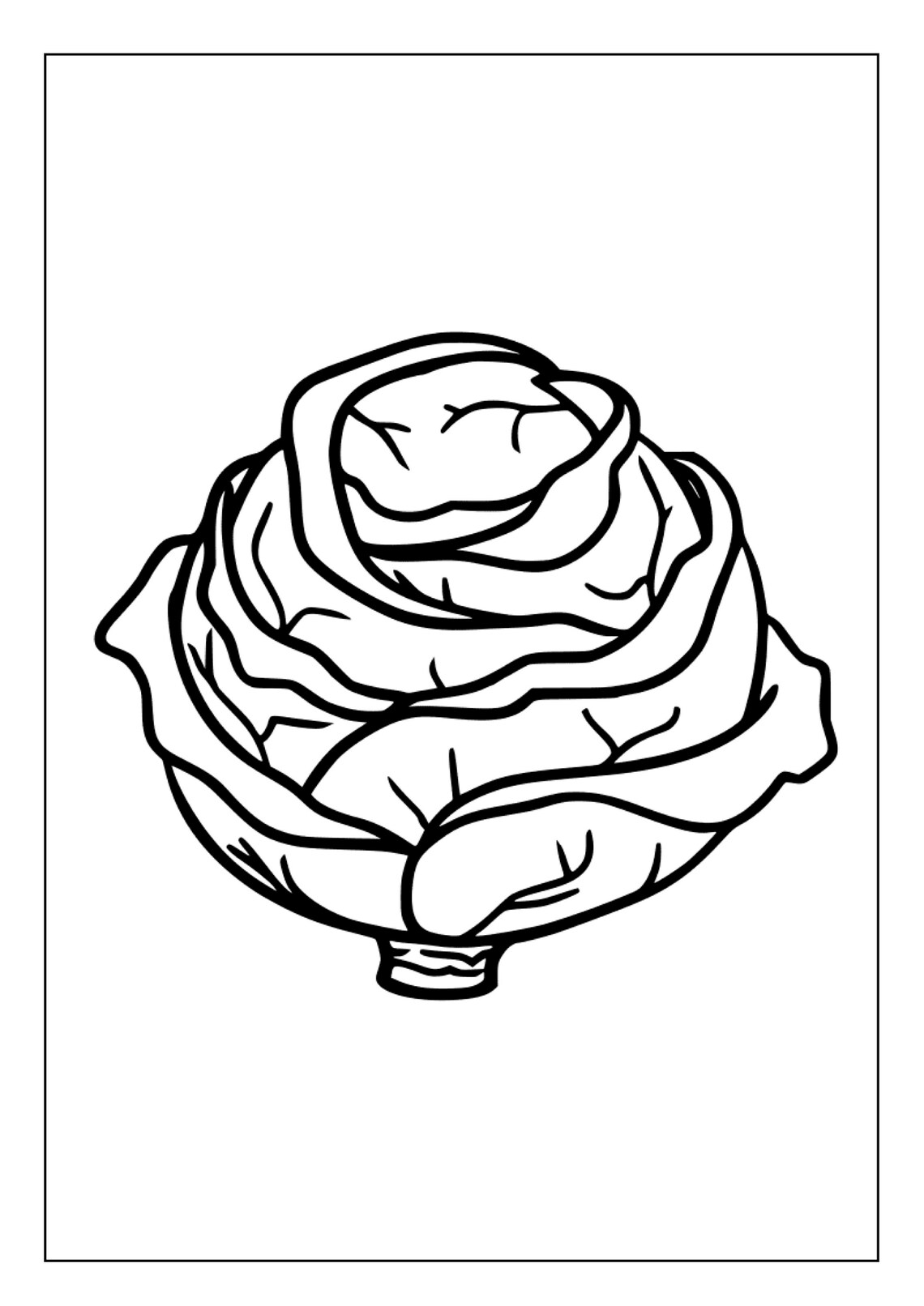 Printable Cabbage Coloring Pages for Kids & Adults | 30 Pages | Instant ...