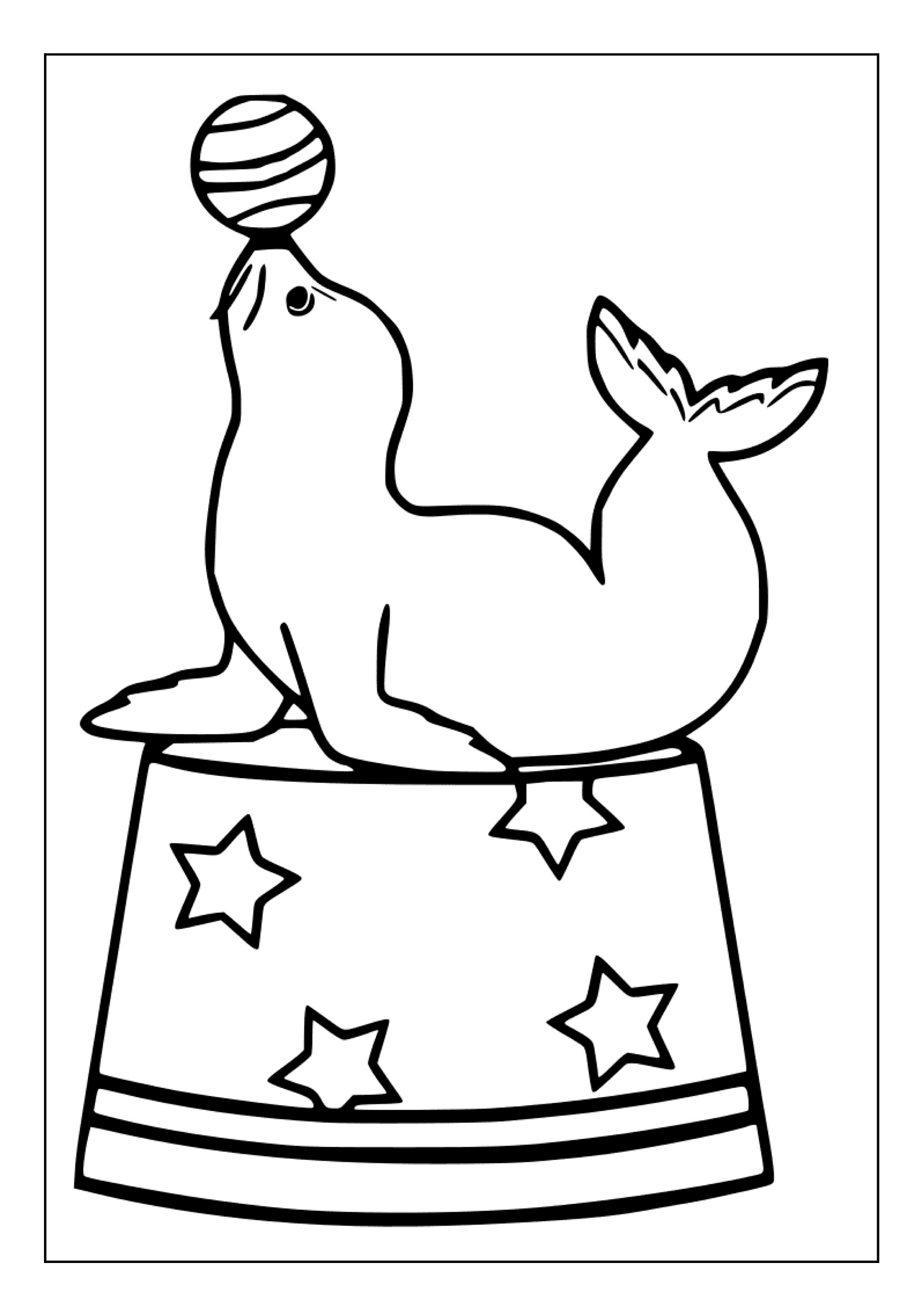 Printable Sea Lion Coloring Pages for Kids & Adults |25 Pages | Digital ...