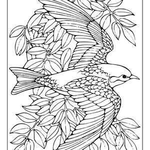 Printable Zentangle Birds Coloring Pages for Kids & Adults | 25 Pages ...