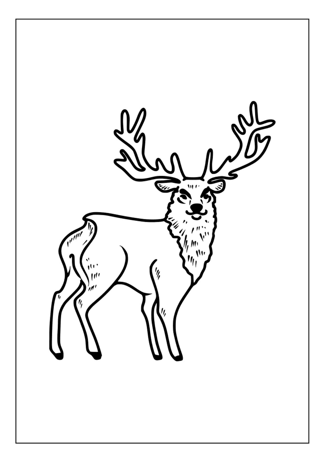 Printable Mammals Coloring Pages for Kids & Adults | 40 Pages | Instant ...