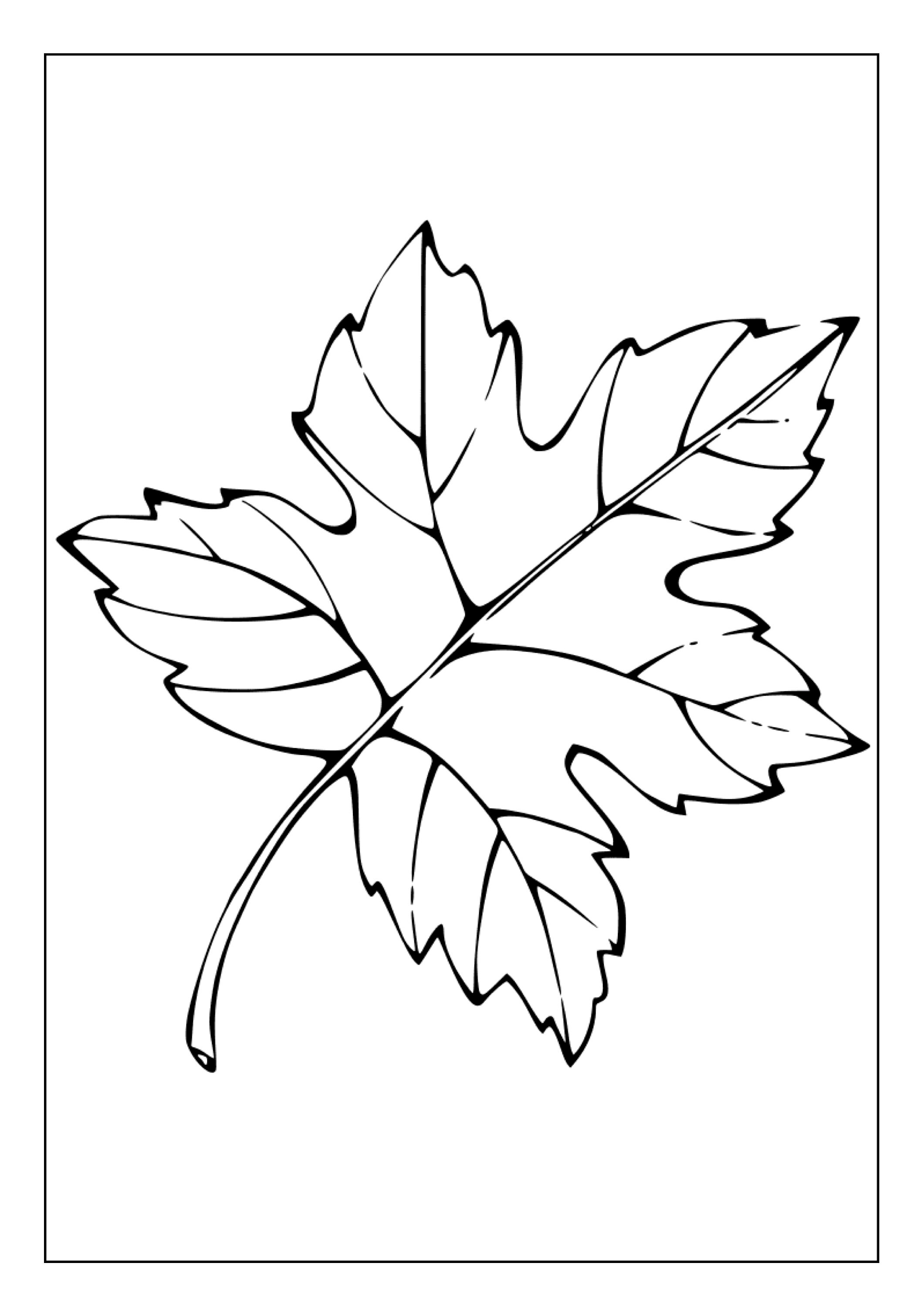Printable Fall Leaf Coloring Pages for Kids and Adults | 60 Pages ...