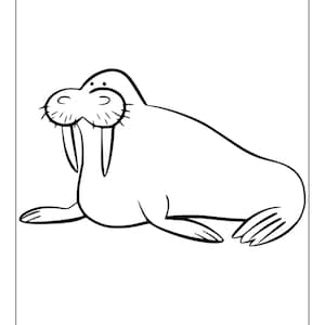 Printable Walrus Coloring Pages for Kids & Adults | 30 Pages | Instant ...