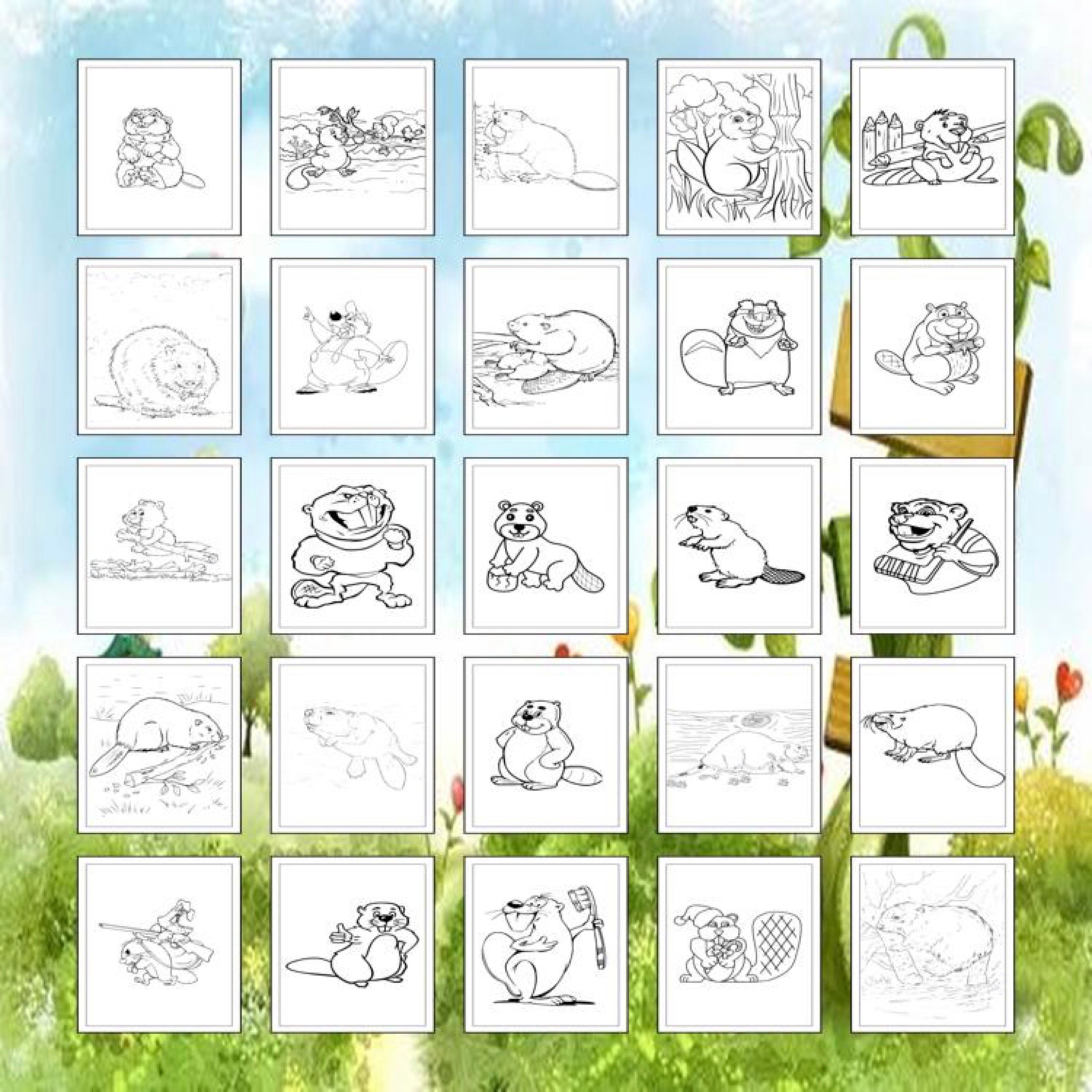 Printable Beaver Coloring Pages for Kids & Adults | 50 Pages | Digital ...