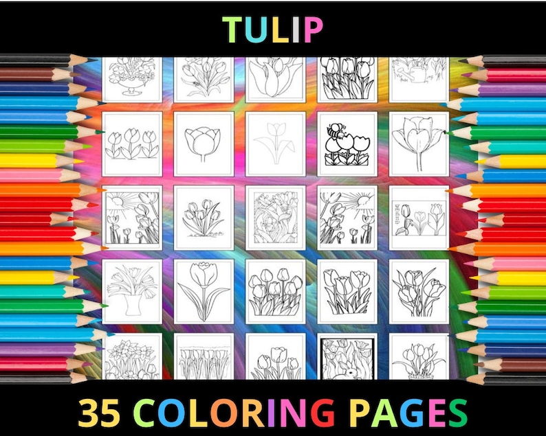 Printable Tulip Coloring Pages for Kids and Adults 35 Pages - Etsy