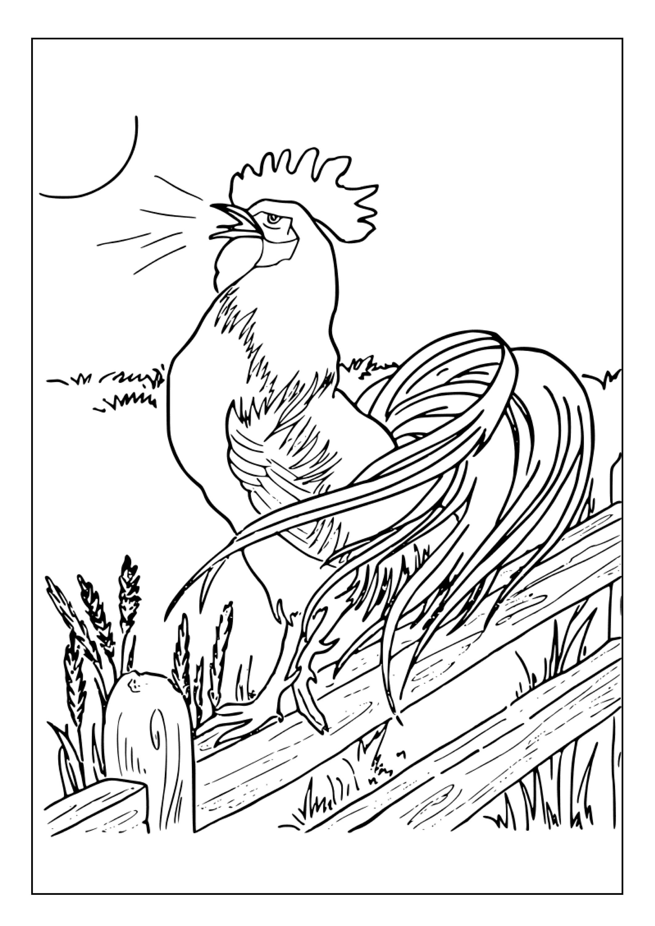 Printable Chicken Coloring Pages for Kids & Adults 35 Pages Instant ...