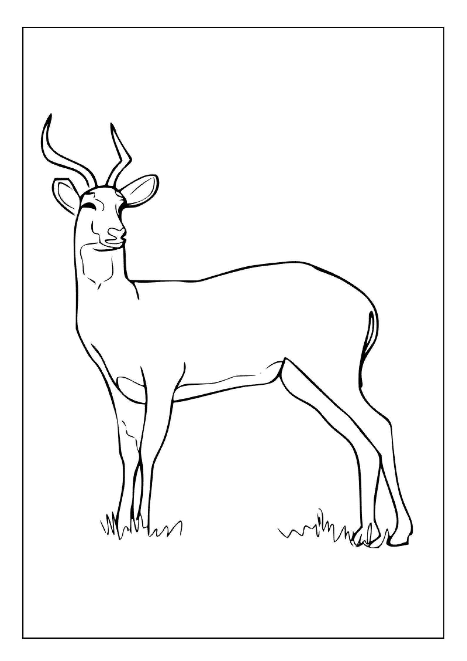 Printable Antelope Coloring Pages for Kids & Adults |35 Pages | Digital ...