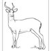 Printable Antelope Coloring Pages for Kids & Adults |35 Pages | Digital ...