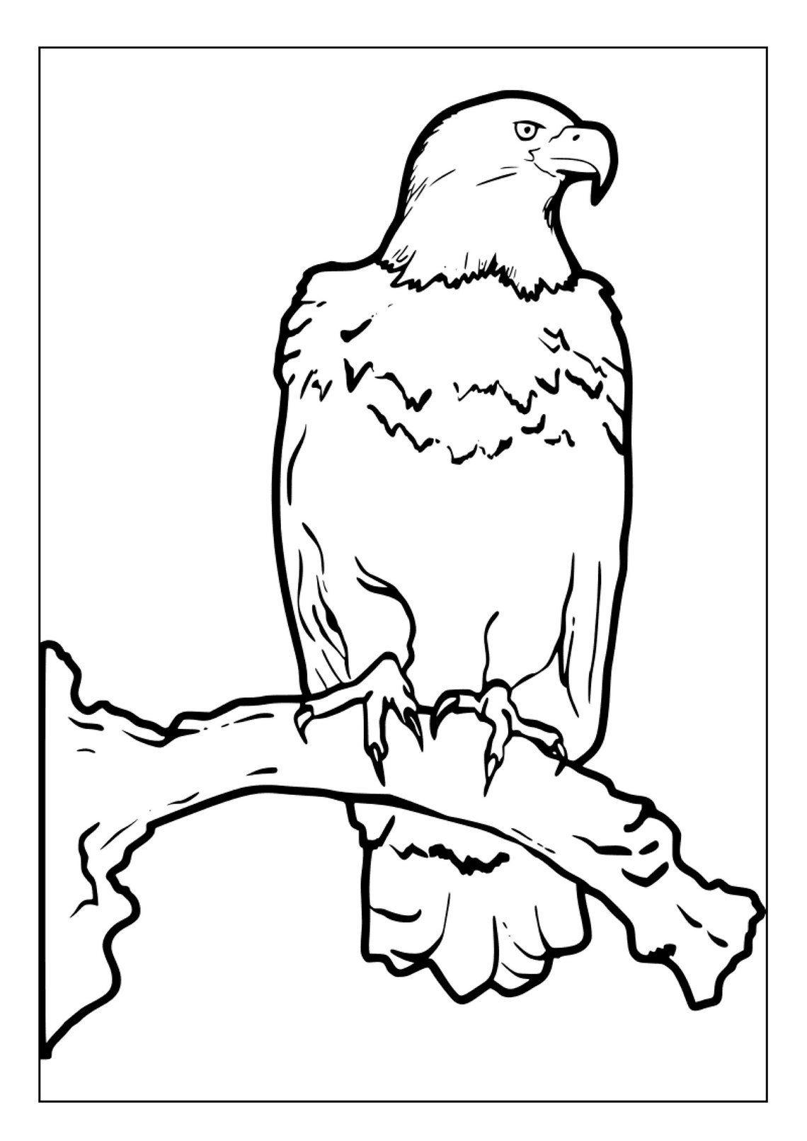 Printable Bald Eagle Coloring Pages for Kids & Adults | 30 Pages ...