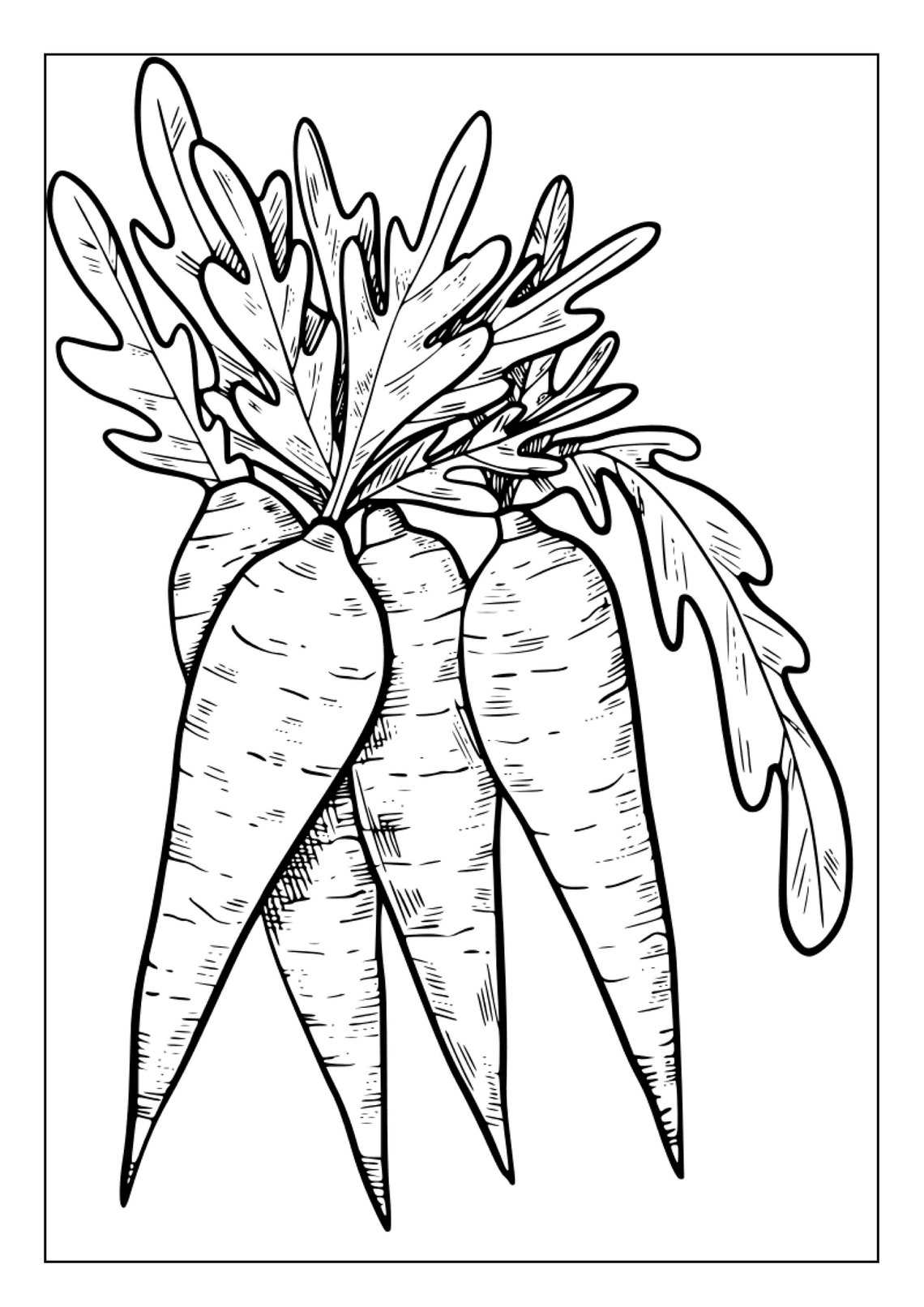 Printable Carrots Coloring Pages for Kids & Adults 80 Pages - Etsy