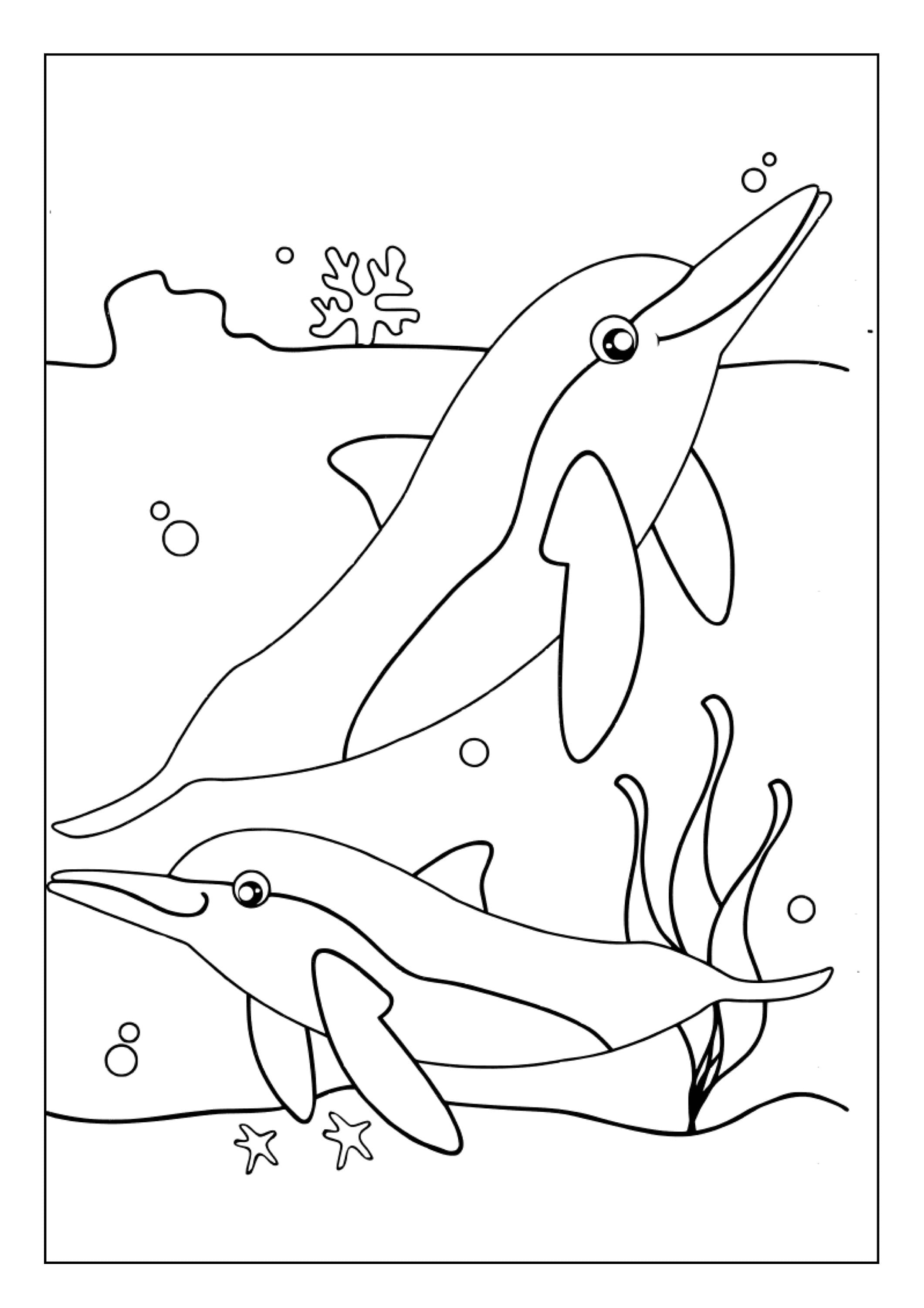 Printable Dolphins Coloring Pages for Kids and Adults | 90 Pages ...