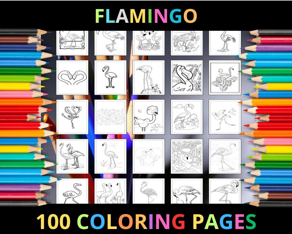 Printable Flamingo Coloring Pages for Kids and Adults | 100 Pages ...