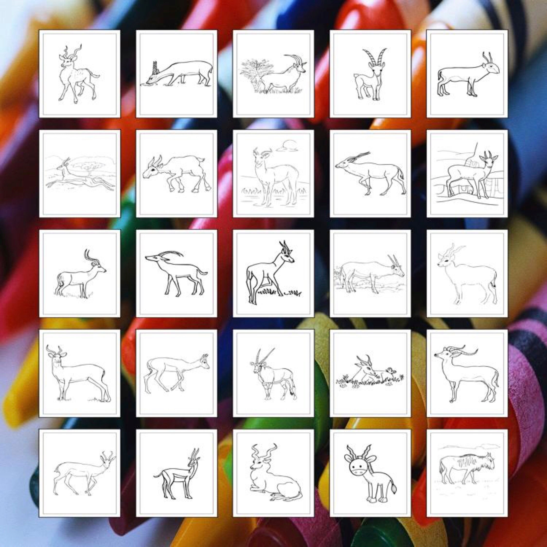 Printable Antelope Coloring Pages for Kids & Adults |35 Pages | Digital ...