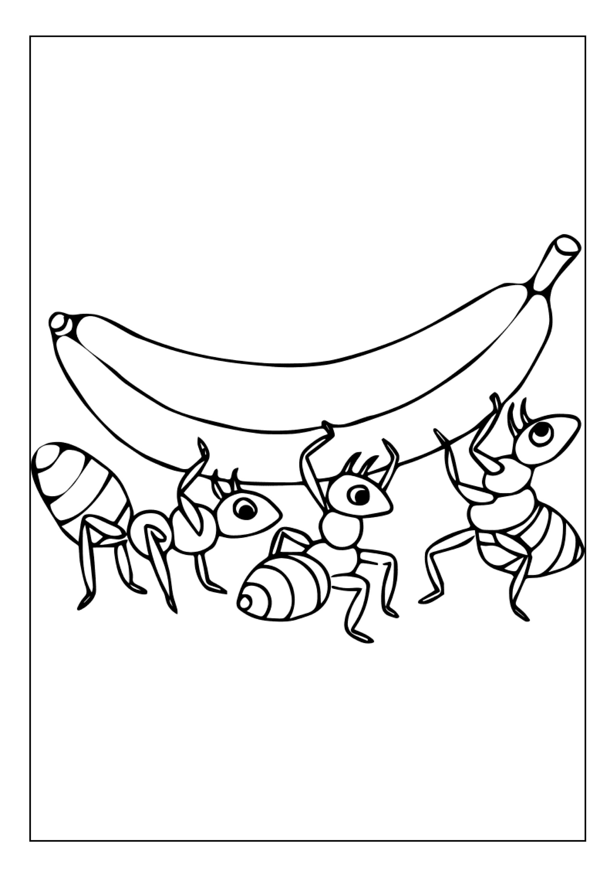 Printable Insects Coloring Pages for Kids and Adults 90 Pages Instant ...