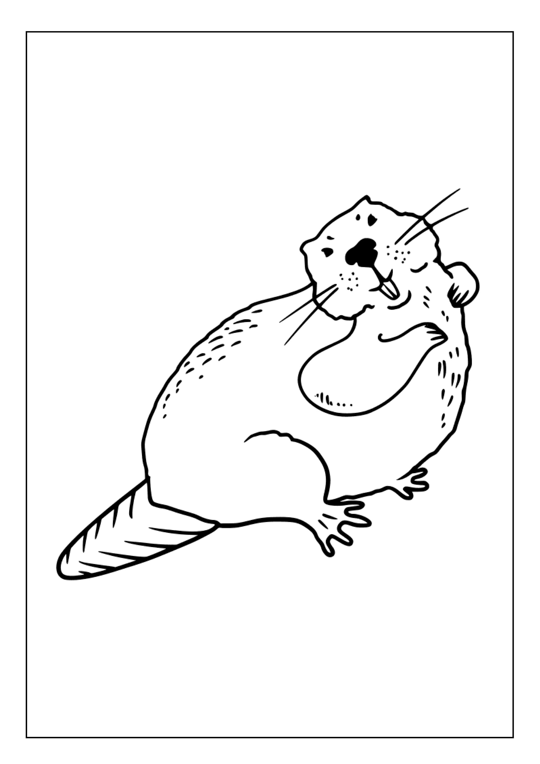 Printable Mammals Coloring Pages for Kids & Adults | 40 Pages | Instant ...