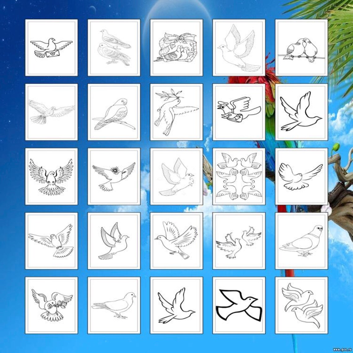 Printable Dove Coloring Pages for Kids & Adults | 50 Pages | Instant ...