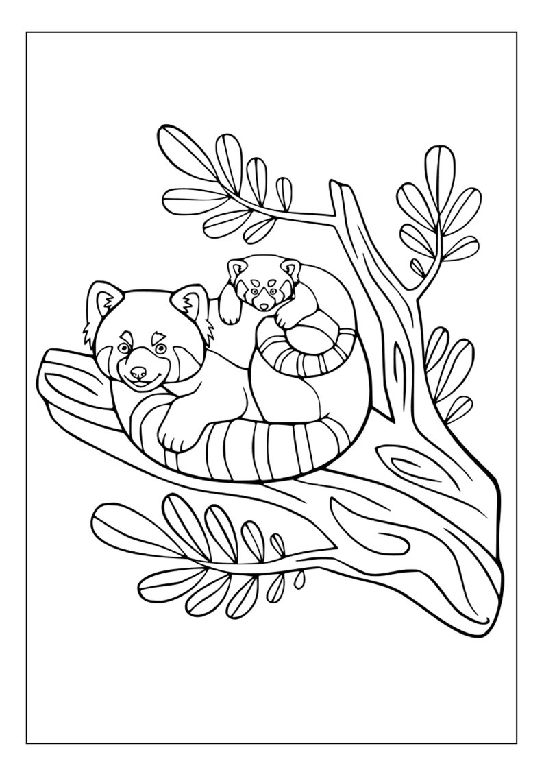 Printable Red Panda Coloring Pages for Kids & Adults 25 Pages Digital ...