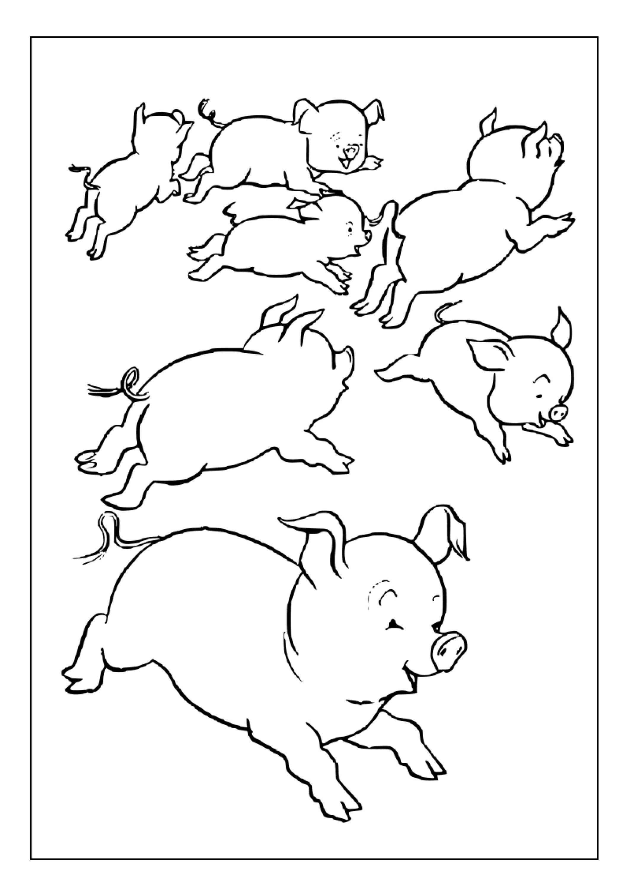 Printable Pigs Coloring Pages for Kids & Adults | 50 Pages | Instant ...