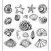 Printable Shell Coloring Pages for Kids & Adults | 85 Pages | Digital ...