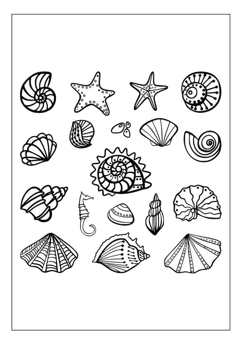 Printable Shell Coloring Pages for Kids & Adults | 85 Pages | Digital ...