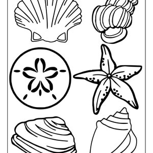 Printable Shell Coloring Pages for Kids & Adults | 85 Pages | Digital ...