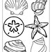 Printable Shell Coloring Pages for Kids & Adults | 85 Pages | Digital ...