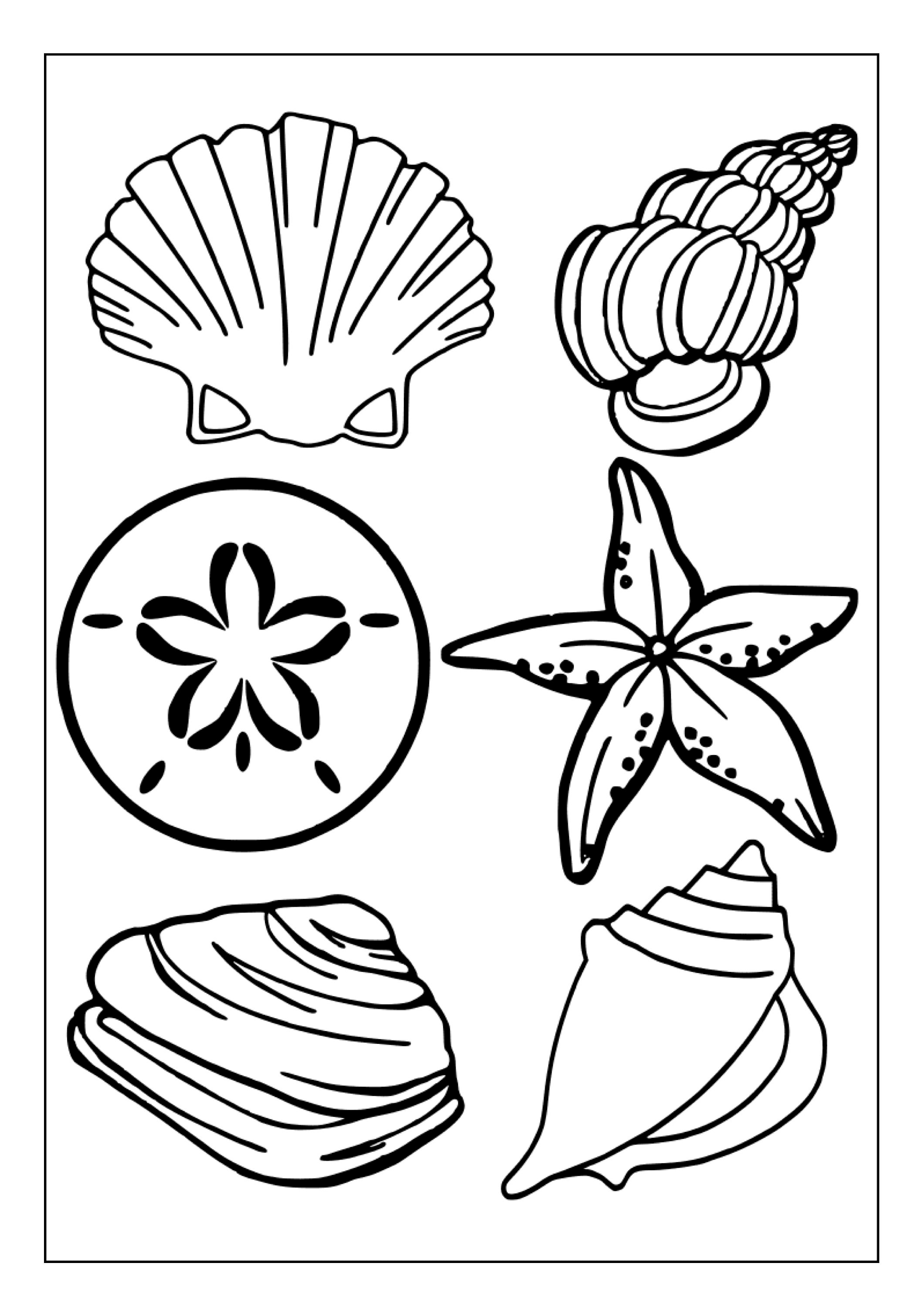 Printable Shell Coloring Pages for Kids & Adults 85 Pages - Etsy