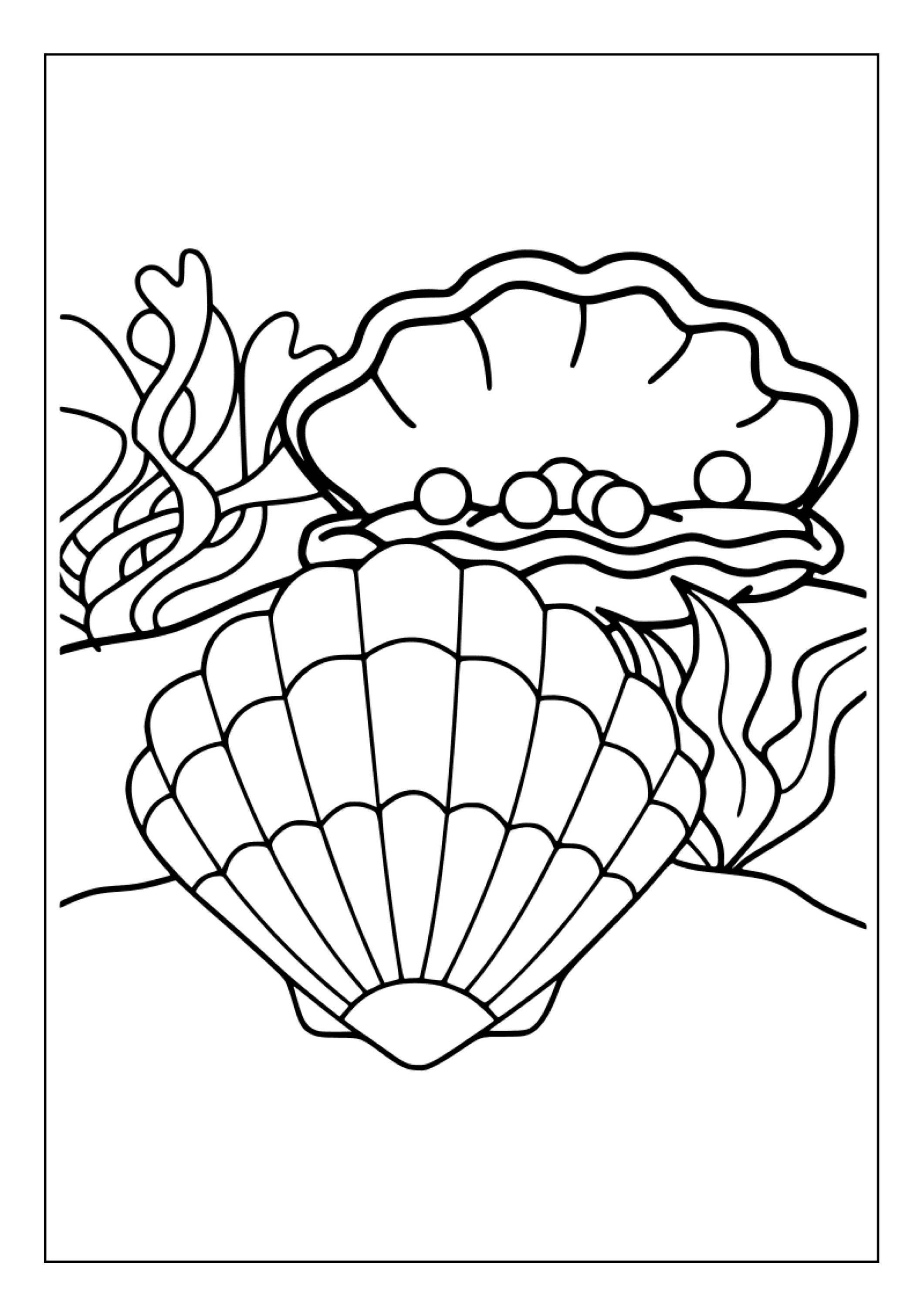 Printable Shell Coloring Pages for Kids & Adults 85 Pages - Etsy