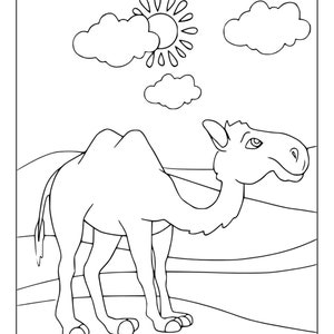 Printable Desert Coloring Pages for Kids and Adults 60 Pages Instant ...