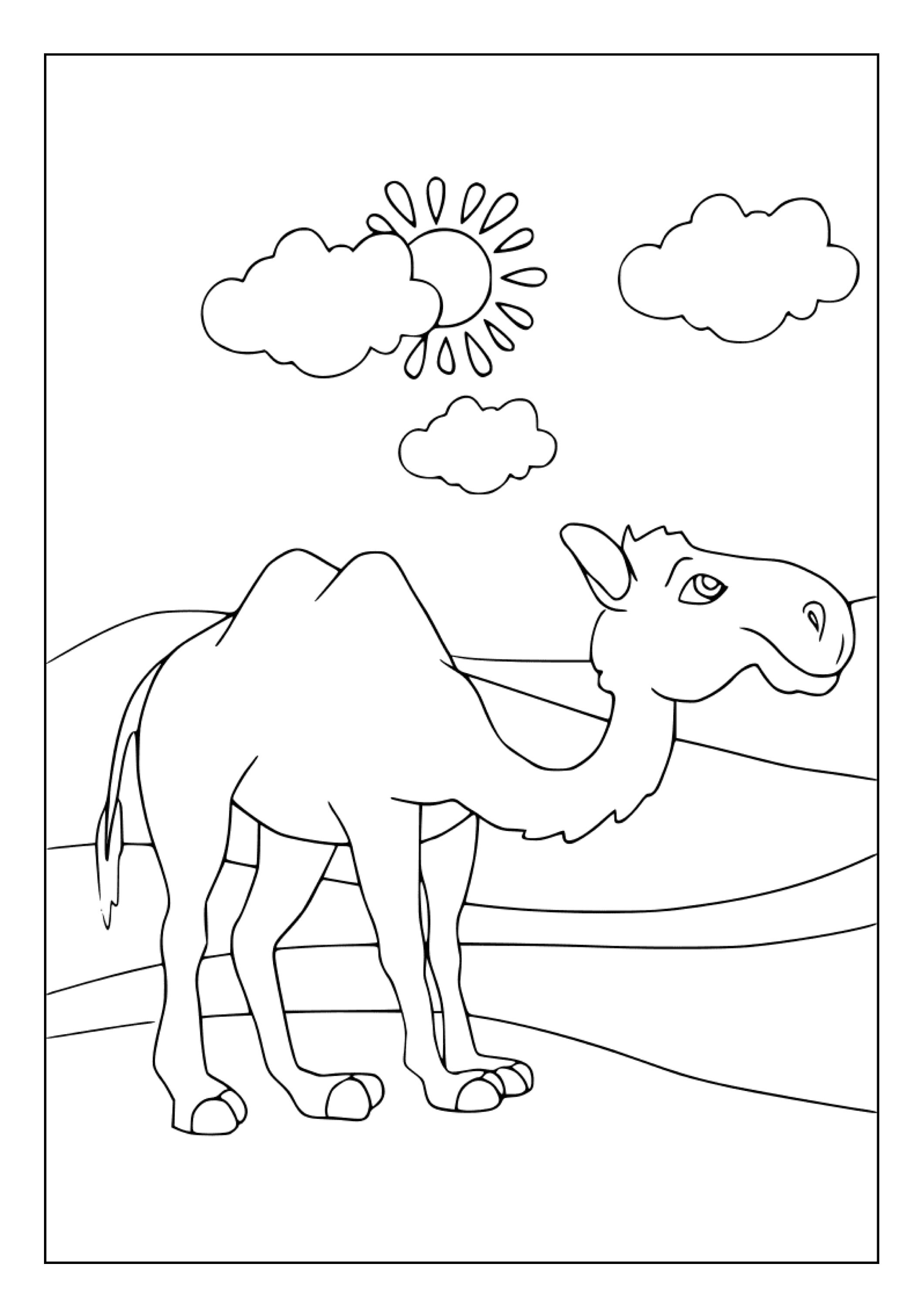 Printable Desert Coloring Pages for Kids and Adults 60 Pages Instant ...