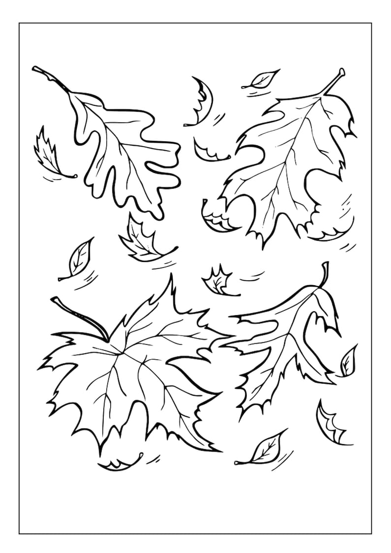 Printable Autumn Fall Coloring Pages for Kids and Adults | 55 Pages ...