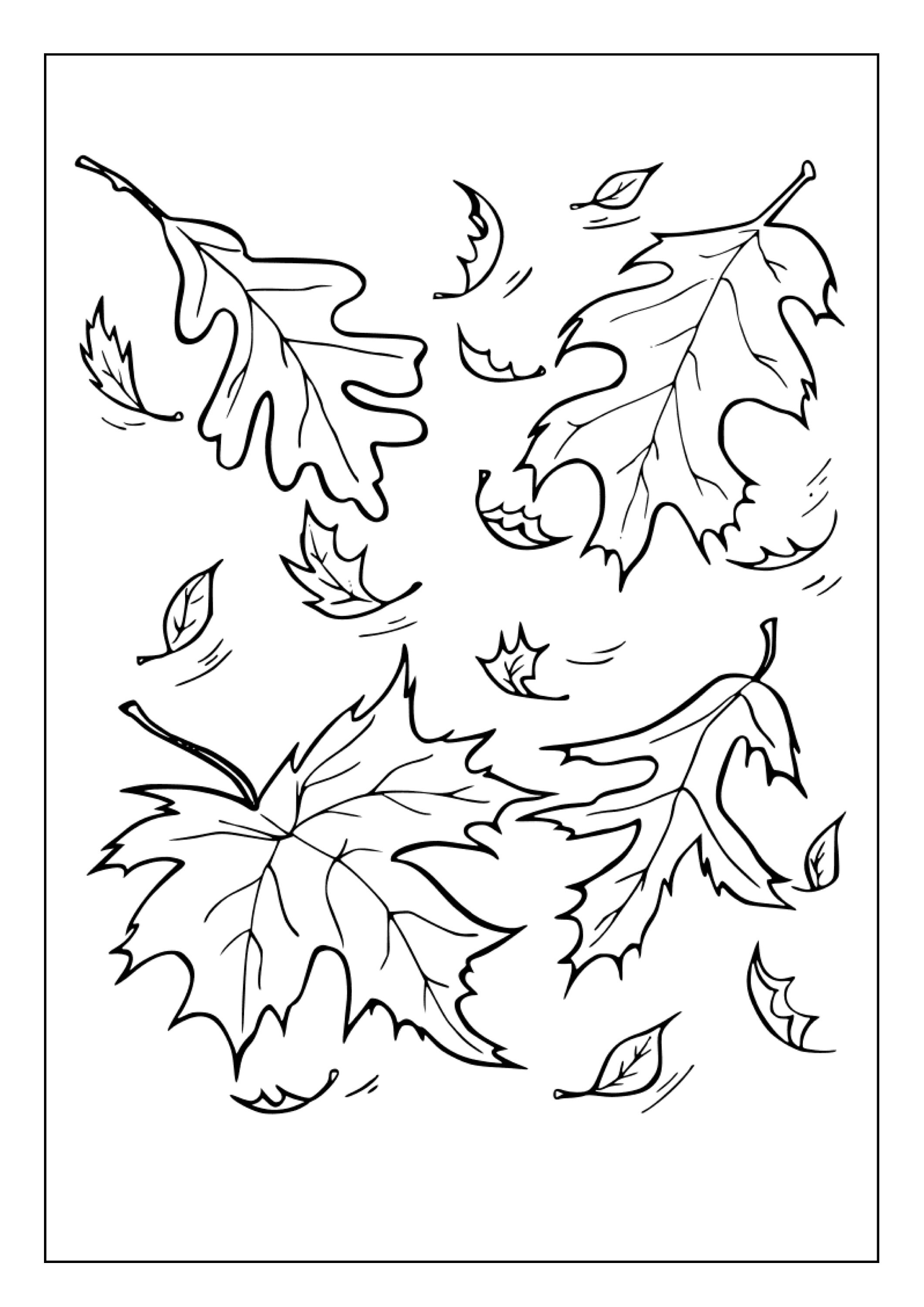 Printable Autumn Fall Coloring Pages for Kids and Adults | 55 Pages ...
