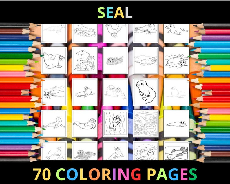 Printable Seals Coloring Pages for Kids and Adults | 70 Pages | Instant ...