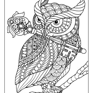 Printable Owl Coloring Pages for Kids and Adults | 100 Pages | Instant ...