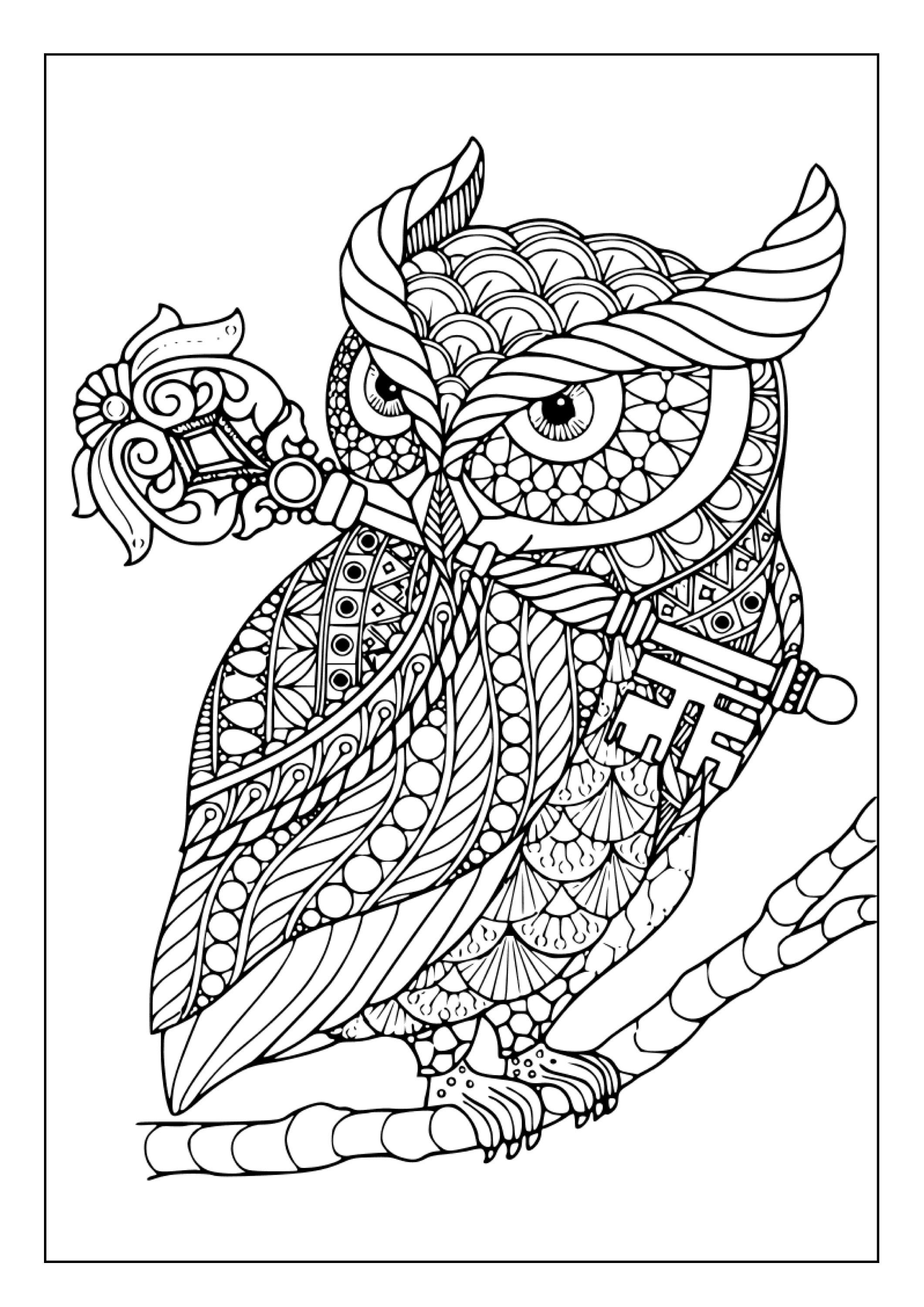 Printable Owl Coloring Pages for Kids and Adults | 100 Pages | Instant ...