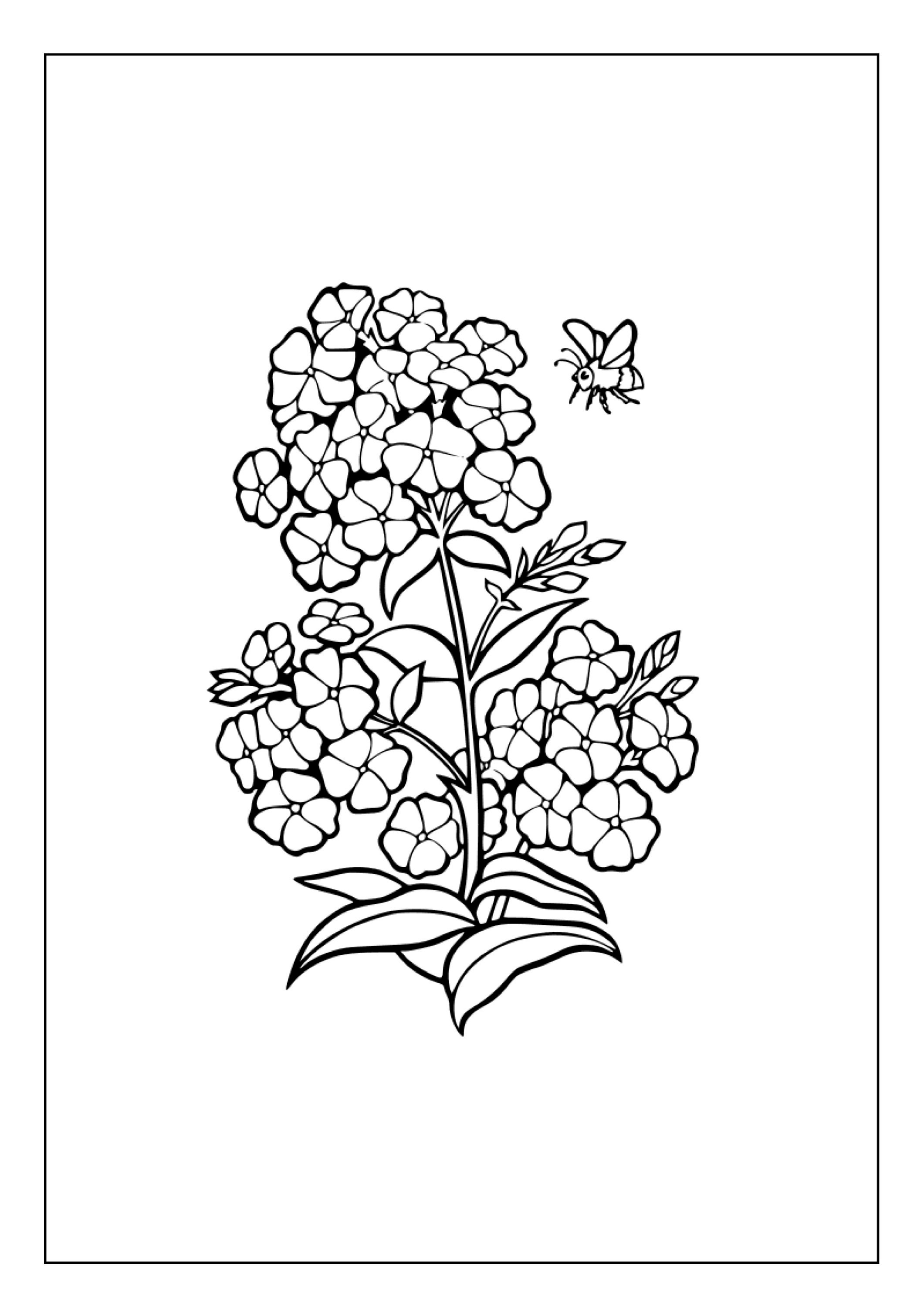 Printable Plants Coloring Pages for Kids & Adults | 25 Pages | Instant ...