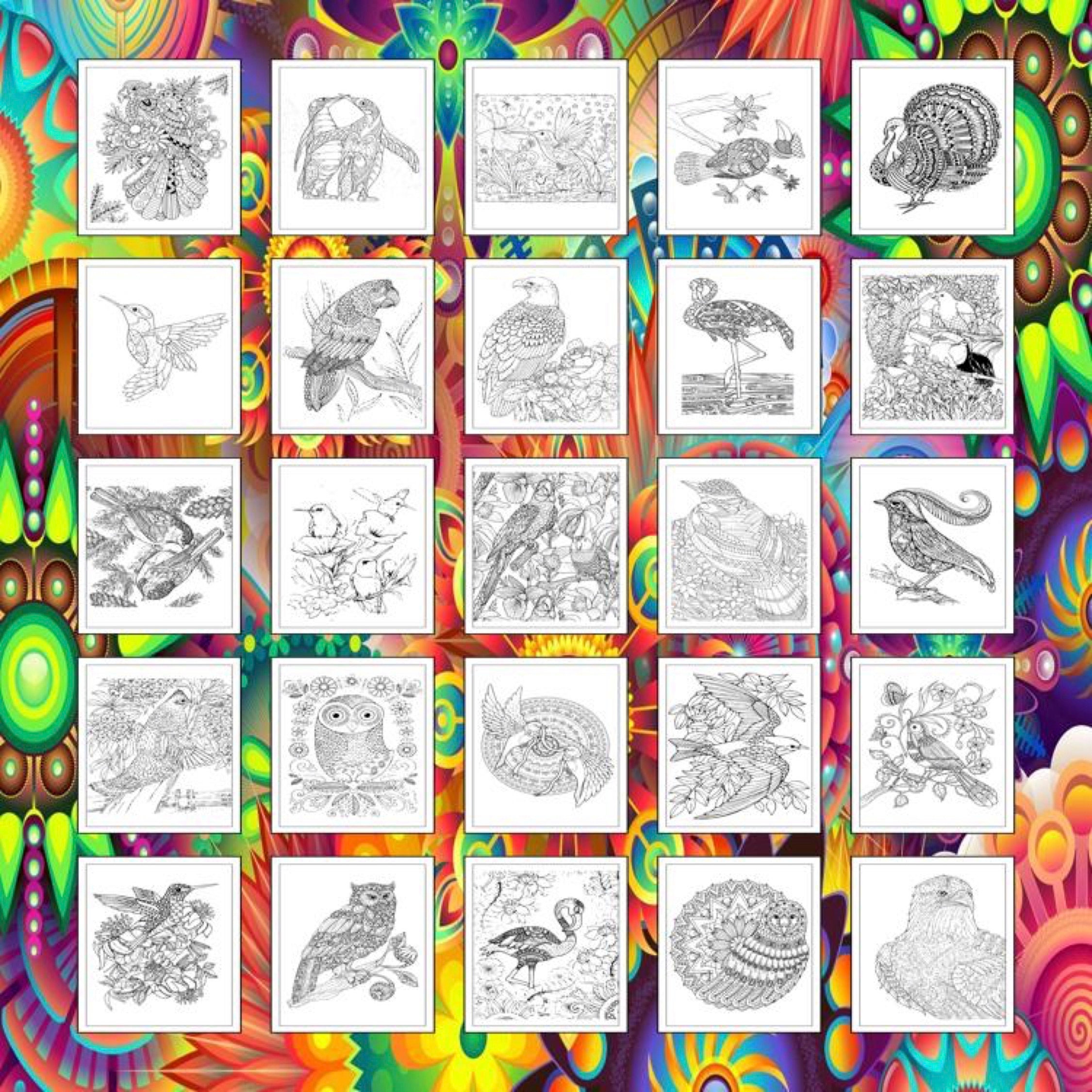 Printable Zentangle Birds Coloring Pages for Kids & Adults 25 Pages ...