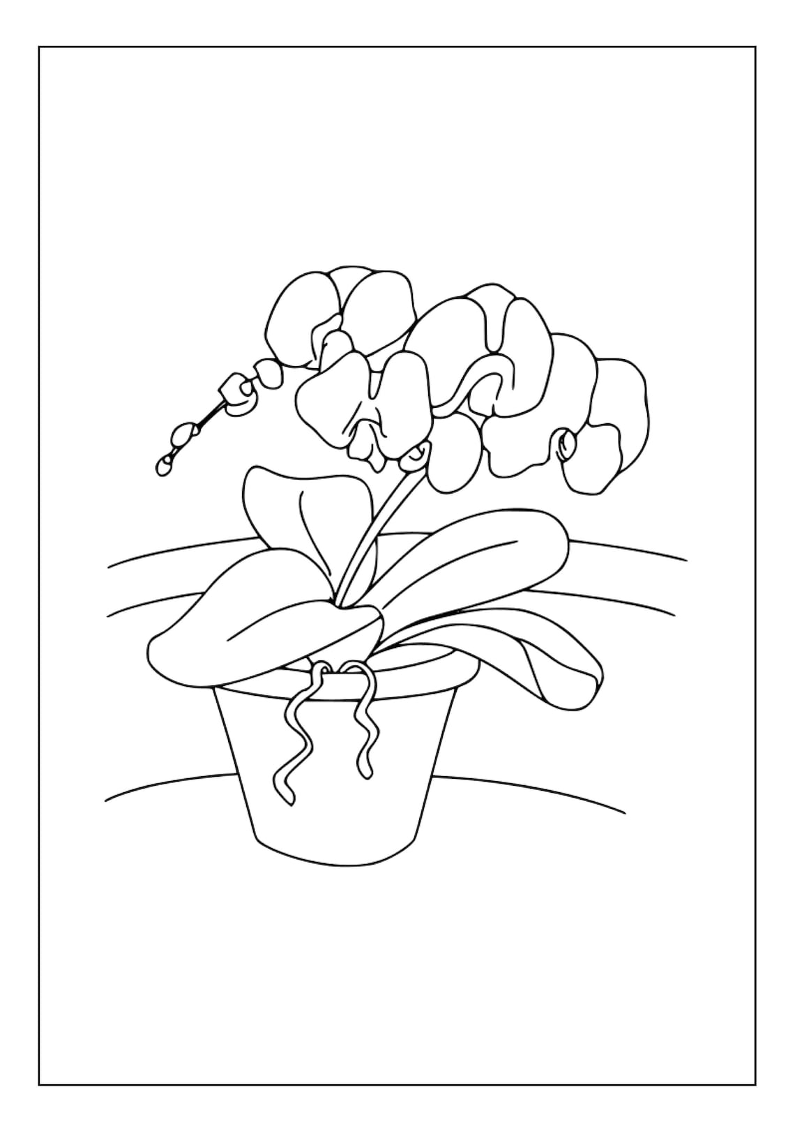 Printable Orchid Coloring Pages for Kids & Adults | 30 Pages | Instant ...