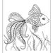 Printable Zentangle Fish Coloring Pages for Kids & Adults | 25 Pages ...