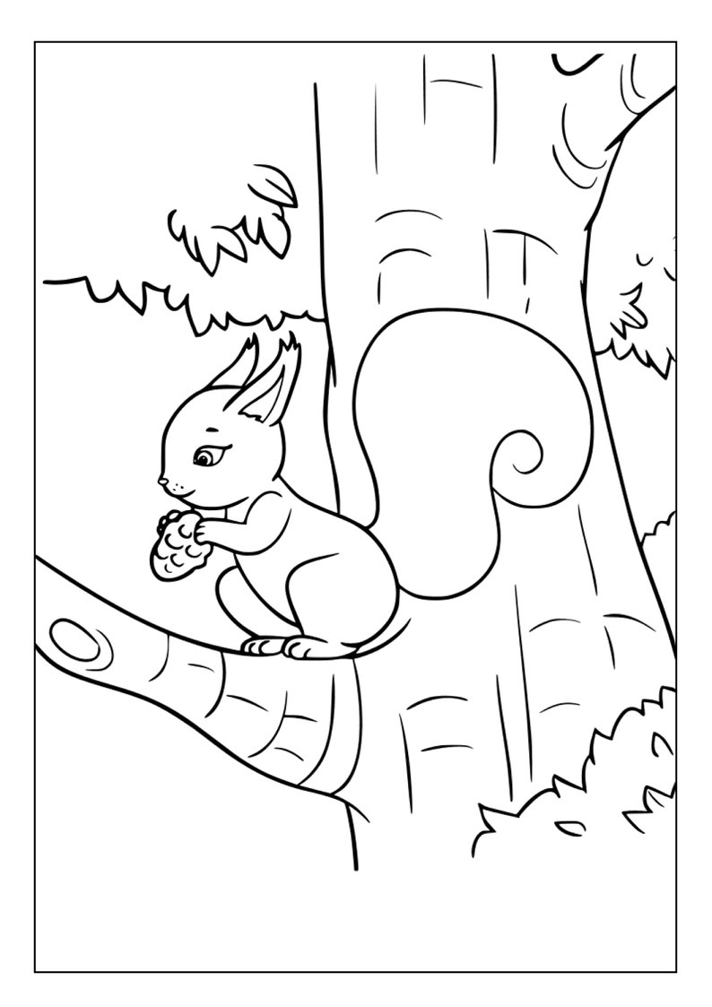Printable Squirrel Coloring Pages for Kids and Adults 80 Pages Instant ...