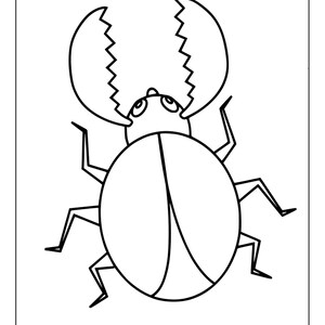 Printable Insects Coloring Pages for Kids and Adults | 90 Pages ...