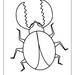 Printable Insects Coloring Pages for Kids and Adults 90 Pages Instant ...