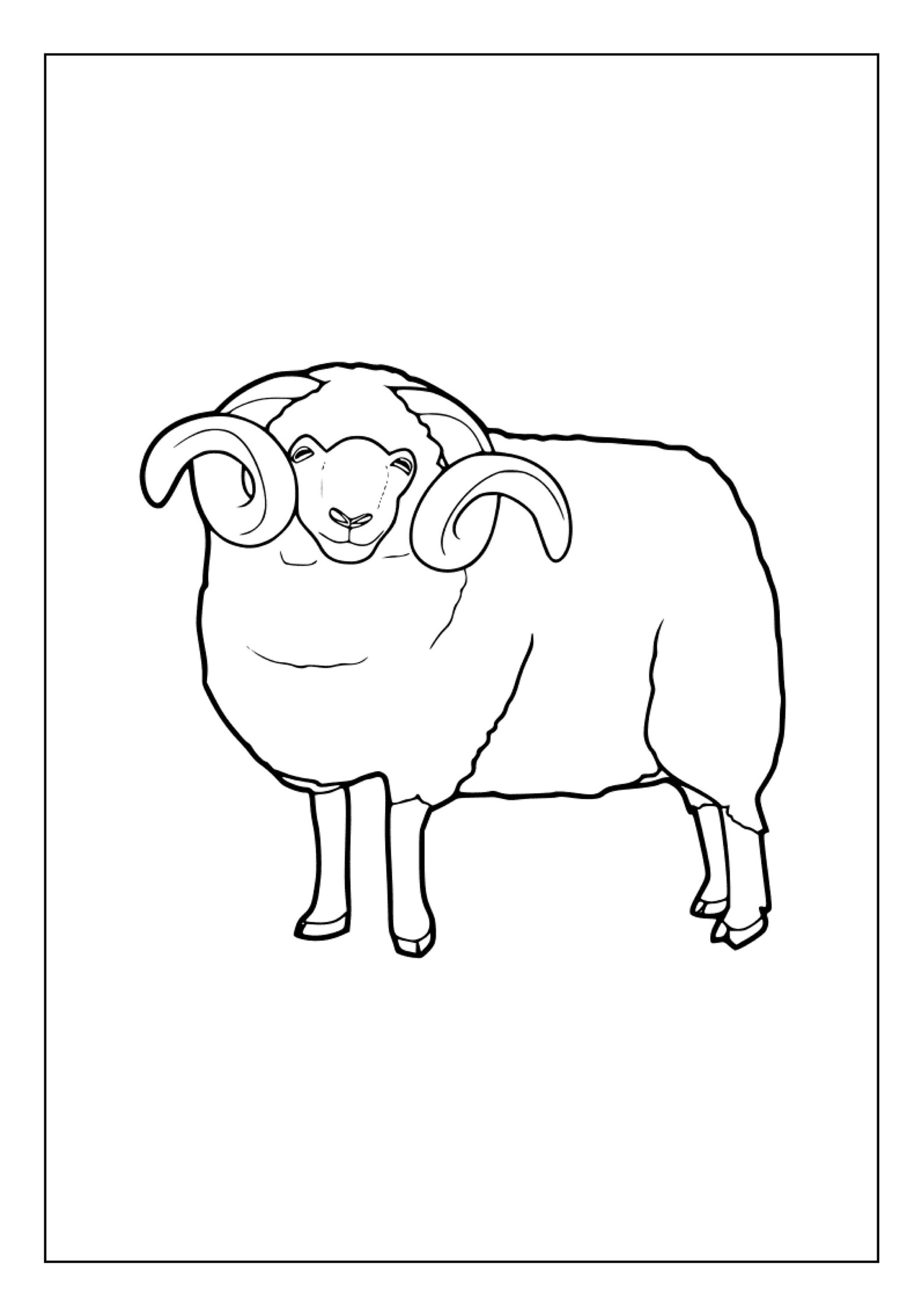 Printable Ram Coloring Pages for Kids & Adults | 35 Pages | Instant ...