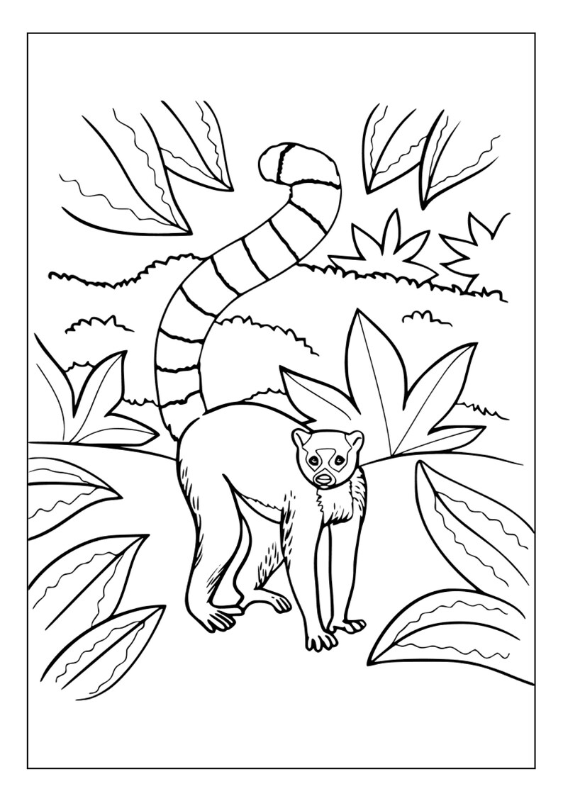 Printable Jungle Animals Coloring Pages for Kids and Adults | 80 Pages ...