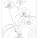 Printable Orchid Coloring Pages for Kids & Adults | 30 Pages | Instant ...