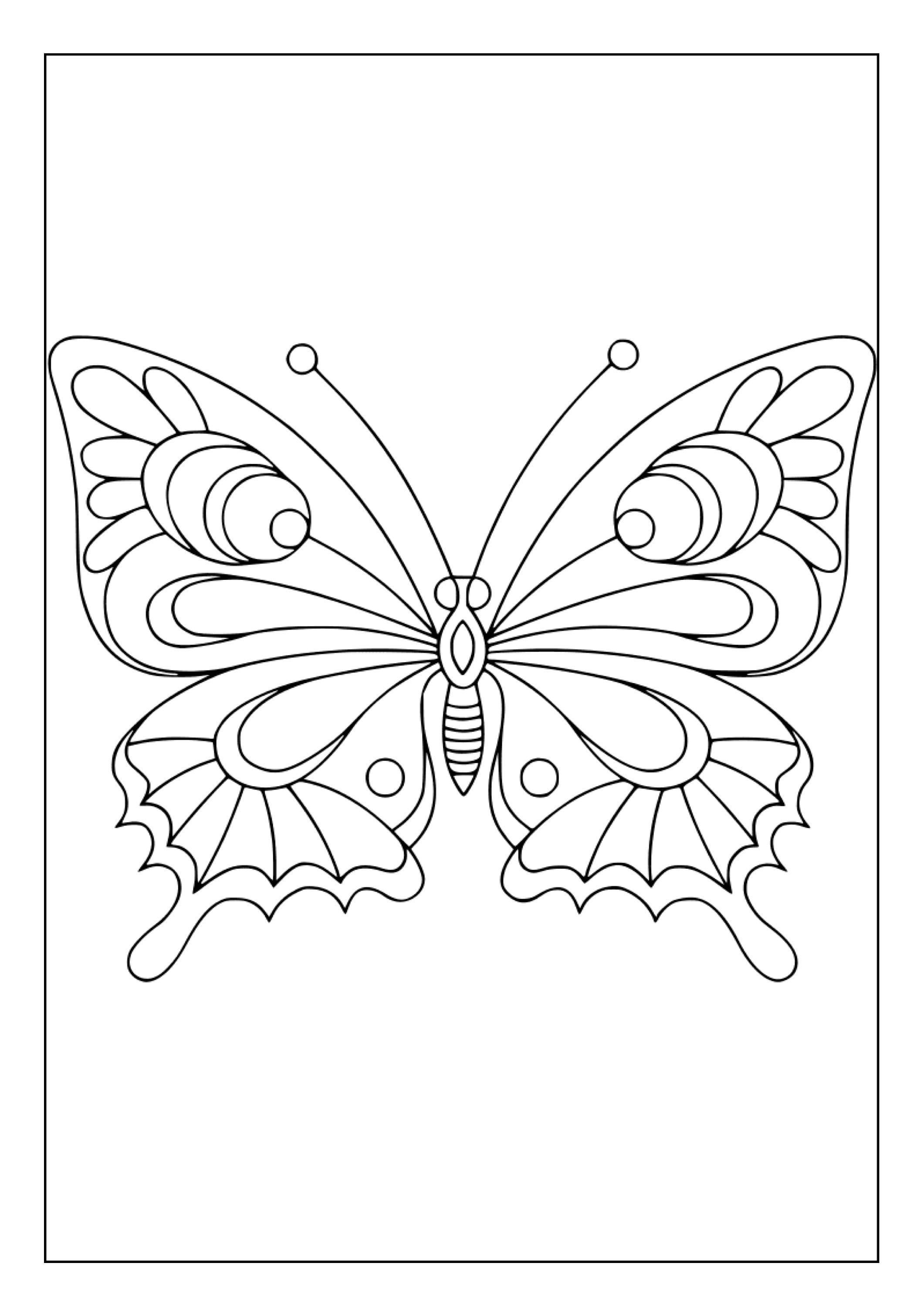 Printable Butterfly Coloring Pages for Kids and Adults | 90 Pages ...