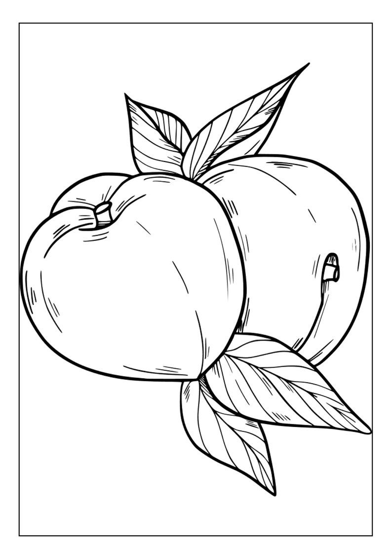 Printable Peach Coloring Pages for Kids & Adults | 25 Pages | Instant ...