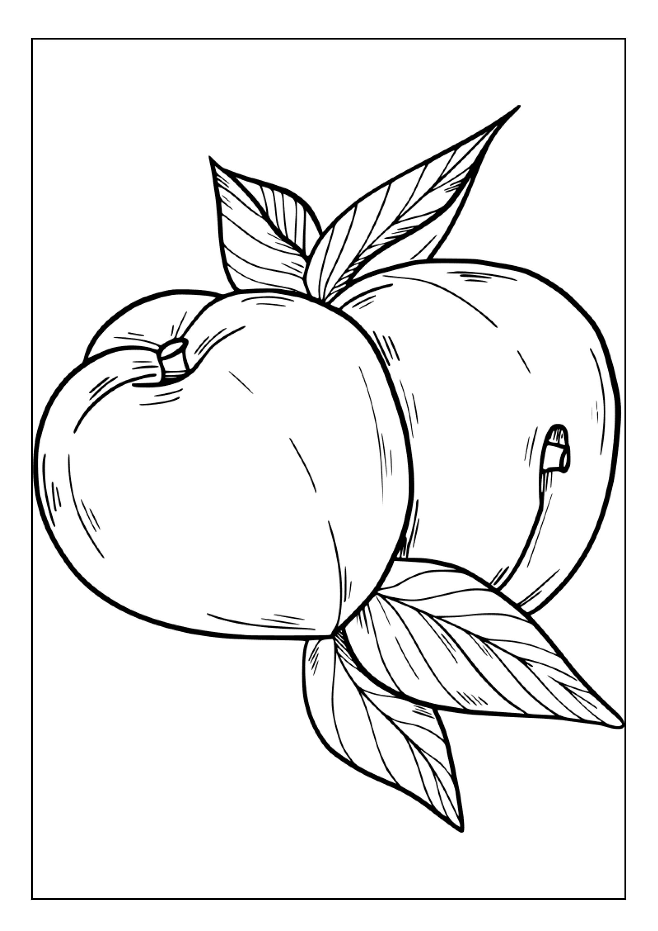 Printable Peach Coloring Pages for Kids & Adults | 25 Pages | Instant ...
